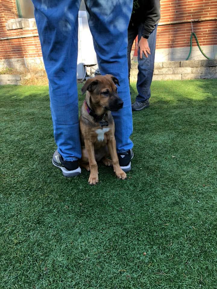 Harper puppy pr0n | Poker Chip Forum