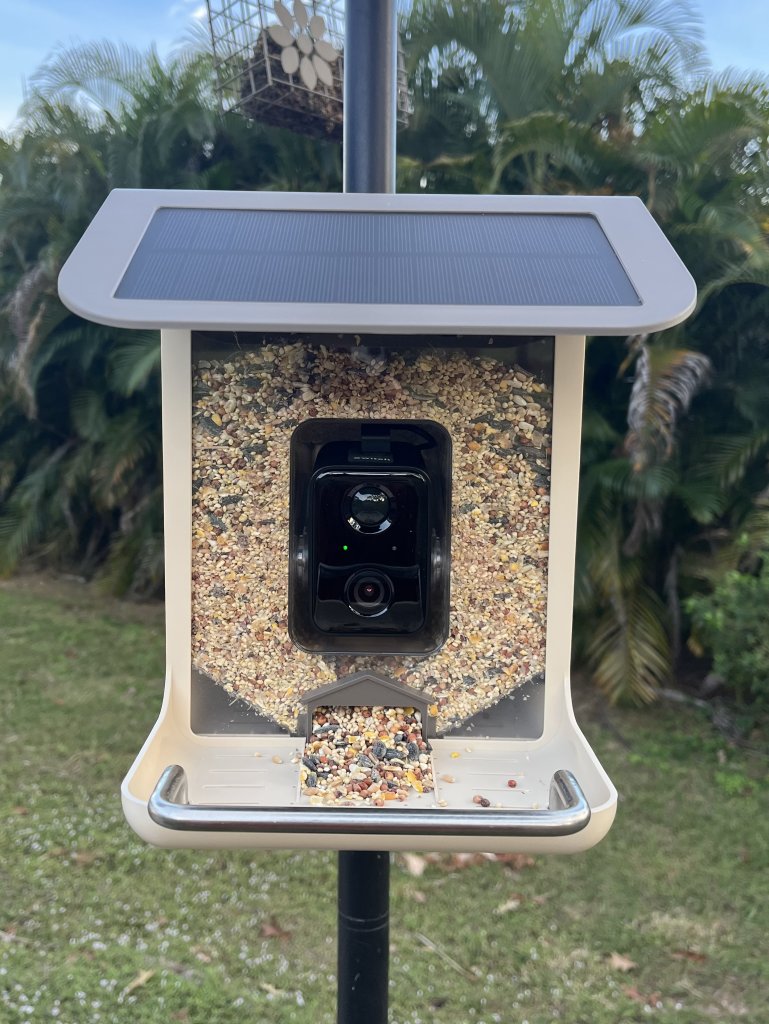 A.I. enhanced bird feeder | Poker Chip Forum