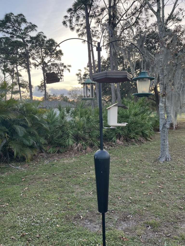 A.I. enhanced bird feeder | Poker Chip Forum