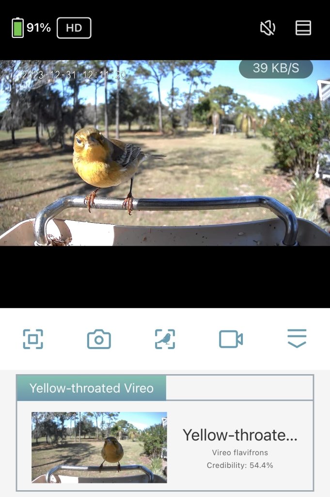 A.I. enhanced bird feeder | Poker Chip Forum
